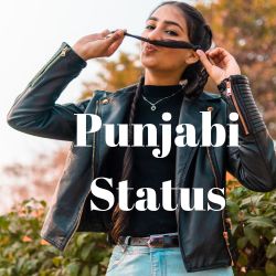 Punjabi Status - for WhatsApp, Instagram and Facebook